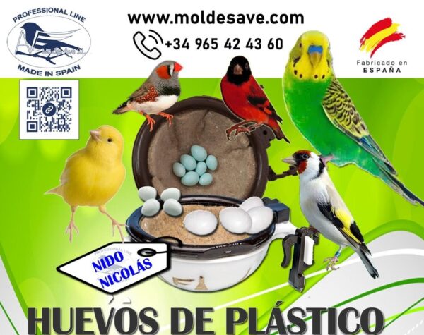 Pack de 36 huevos plastico : Diferentes tamaños y colores: Cardenalito ...